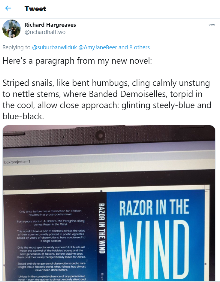 Thumbnail Nature writing, it’s a thing… – Freelance Nature Writer