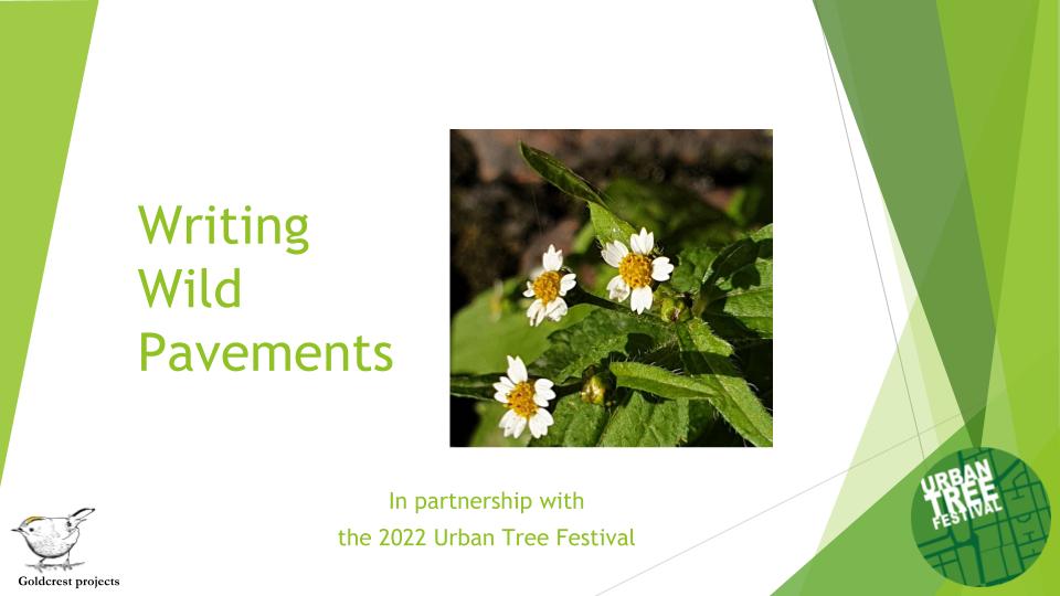 Writing Wild Pavements – an anthology of Thumbnail Nature writing in ...